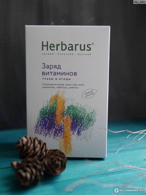Чайный напиток Herbarus Заряд витаминов - «Бодрящий чай без кофеина ...