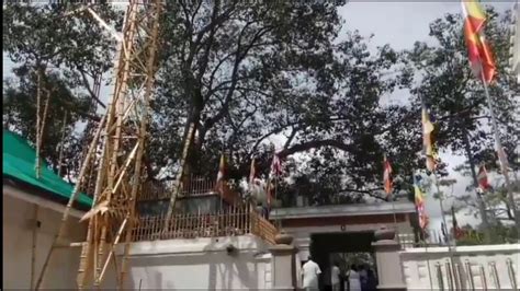 උතුම් ජය සිරිමා බෝ සමිදු පිහිටයි රත්නමාලී වෙහෙර වහන්සේ වන්දනා කරගන්න