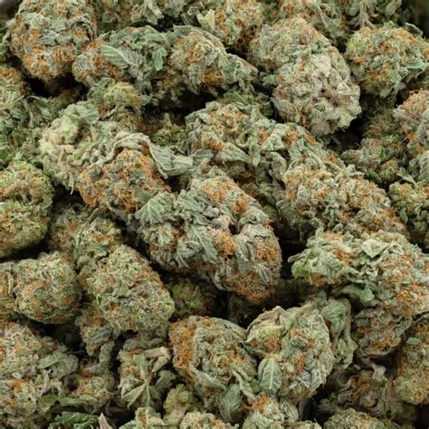 Buy Strawberry Shortcake Strain Online In Canada