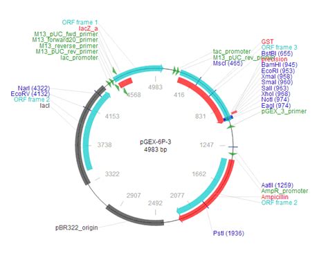 Pgex 6p 3