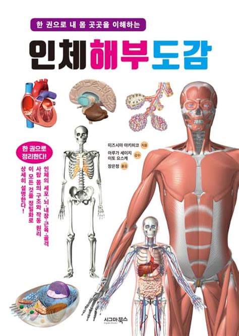 인체 해부 도감 과학 전자책 리디