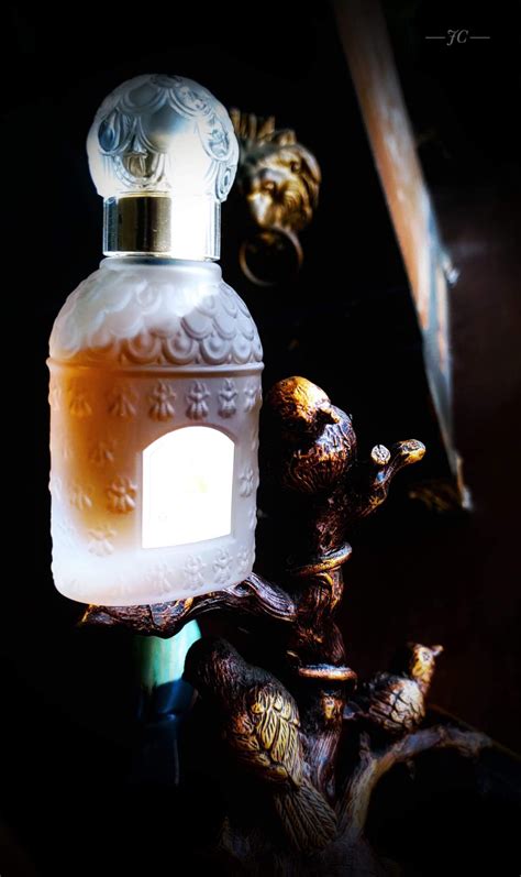 Iris Ganache Guerlain perfume - a fragrance for women 2007