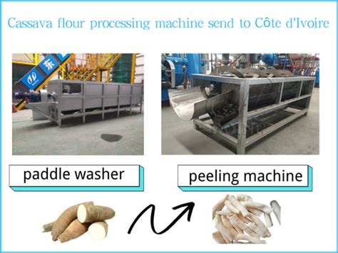 Doings Cassava Flour Processing Equipment Is Warmly Welcomed In Côte D