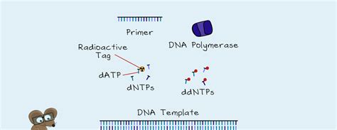 Sanger Dna Sequencing From Then To Now