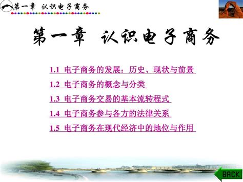第1章 认识电子商务word文档在线阅读与下载无忧文档