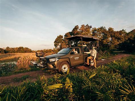 Guia De Viagem Pantanal Brasil Planetaexo
