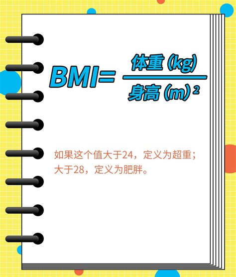 产后6个月，是身材管理的黄金期 哔哩哔哩