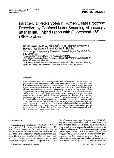 Pdf Intracellular Prokaryotes In Rumen Ciliate Protozoa Detection By