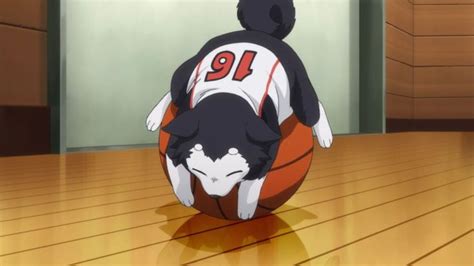 Pin By Bʟɪɴᴄʜɪᴋ On Kᴜʀᴏᴋᴏ ɴᴏ Bᴀsᴜᴋᴇ Kuroko No Basket Characters