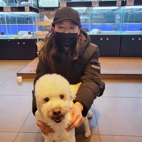 강남 2021 0092 푸들 루이 책임분양 샴분양가격 셀커크렉스분양가격 스코티쉬폴드분양가격 스핑크스분양가격 아메리칸숏헤어분양