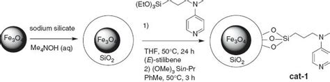 Preparation Of Dmap Catalyst Cat 1 Download Scientific Diagram