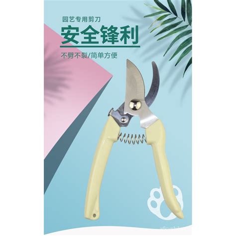 สวนตัดแต่งกิ่งกรรไกรสแตนเลสกรรไกรดอกไม้สาขากรรไกรตัดมีดสวนเครื่องมือกรรไกร A6cvsbilum Thaipick