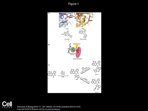 Volume 17 Issue 2 Pages February 2010 Ppt Download
