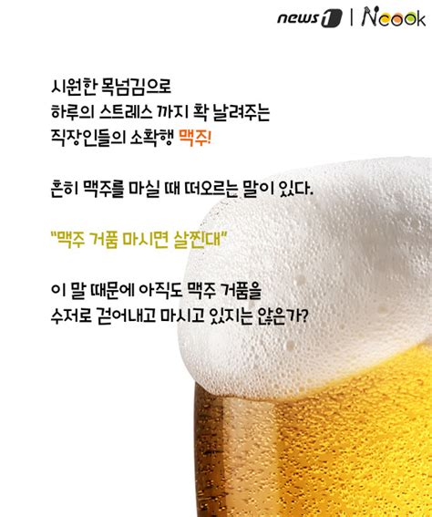 맥주 거품이 살찐다 Zum 허브