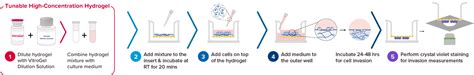 Cell Invasion Assay Kit Workflow High Concentration Thewell Bioscience
