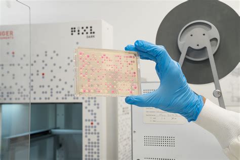Fully Automated Metabolic Engineering With Pixl Dark