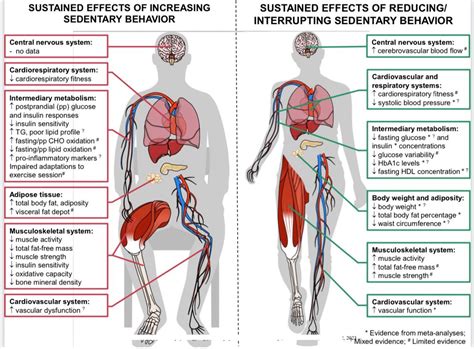 The Effects Of Sedentary Behavior Vs Reducing Sedentary Behavior R