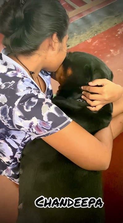 ආදරෙ ඒ විදියට දුන්නාම හරි ලස්සනයි 🤪 ️දාන් යන් Subscribe කරන්න Youtube