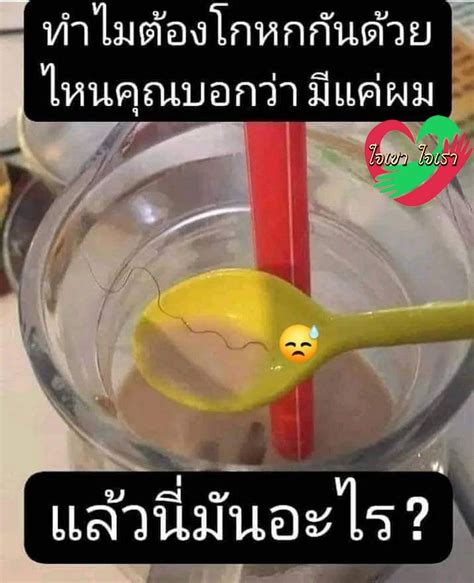 ใจเขา ใจเรา เธอเป็นอื่นแต่กูจะอ้วก😆