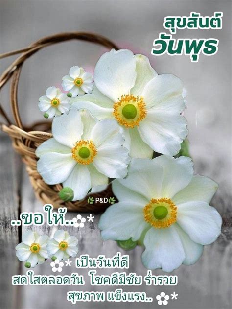 สวัสดีวันพุธ Good Morning Flowers Good Morning Images Beach Theme Decor