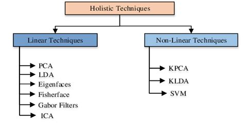 face recognition techniques regarding linear and nonlinear a linear