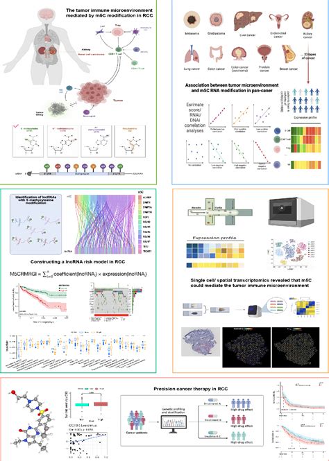 Figure 1 From Single Cell And Spatial Transcriptomics Reveal 5 Methylcytosine Rna Methylation