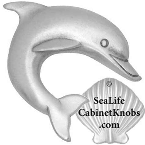 41 Best Seashell Drawer Pulls Images On Pinterest Cabinet Handles