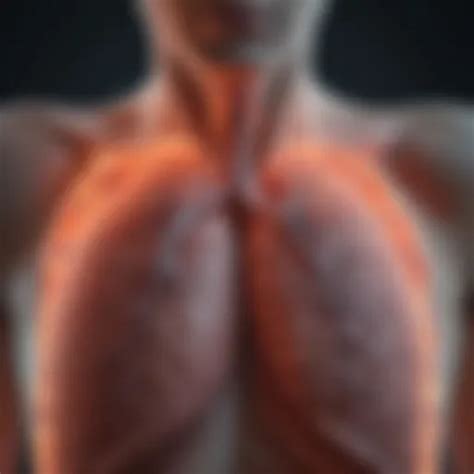 Understanding R Chop Comprehensive Overview Of Chemotherapy