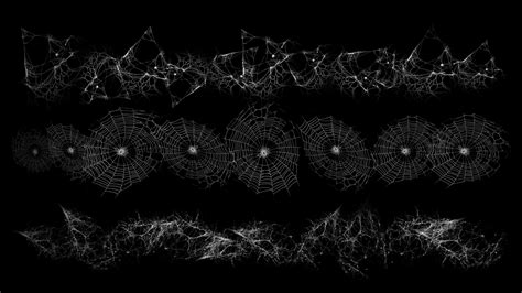 Spider Web Brush Set Filtergrade