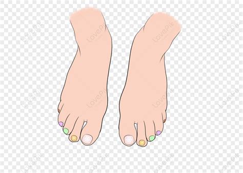 卡通人體組織美甲腳穴道人體器官腳psd圖案素材免費下載，可愛卡通圖片，尺寸4961 × 3543px Lovepik