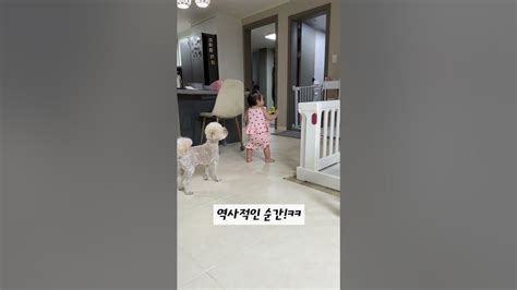 아기가 처음으로 걸음마를 떼던 날 Youtube