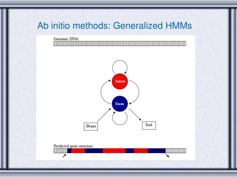 Ppt Gene Finding And Gene Structure Prediction Powerpoint