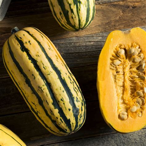Edible Squash Varieties