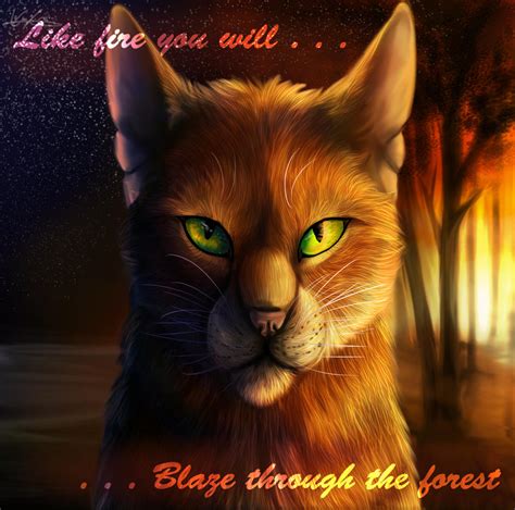 Warrior Cats Firestar Quotes Quotesgram