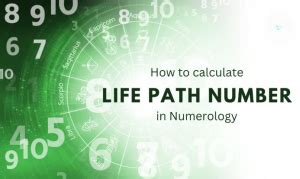 How To Calculate Your Life Path Number In Numerology Namoastro