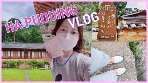 Vlog 용문사는 고양이가 지킨다🐱 템플스테이 브이로그휴식형│1박2일 힐링여행│korea Templestay Vlog