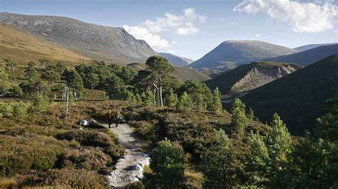 Where Is Cairngorms National Park In Scotland At Beverly Wesson Blog