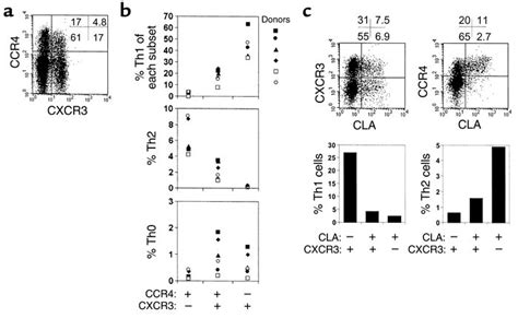 Jci Rules Of Chemokine Receptor Association With T Cell Polarization