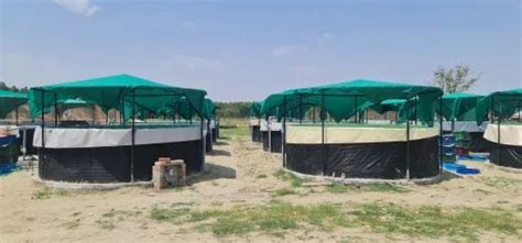 PVC Biofloc Tank Set Up Packaging Type Poly At Rs In Safidon ID