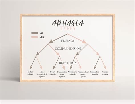 Aphasia Classification Chart Slp Study Guide And Clinical Resource Pdf
