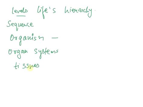 SOLVED Which Of The Following Is A Correct Sequence Of Levels In Life