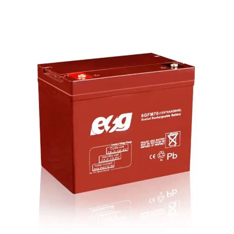 12V 30AH AGM Battery – greenpower.mk
