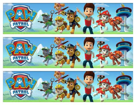 Paw Patrol Chase Everest Skye Zuma Marshall Rocky Ryder Running Mounta