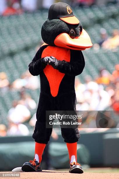 Oriole Bird Mascot Photos And Premium High Res Pictures Getty Images