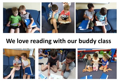 Room 3 Halcombe School Buddy Class