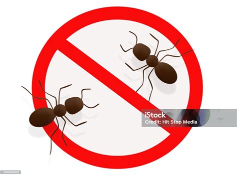 Icône De Fourmi Isolée Sur Fond Blanc Symbole De Combat De Fourmis