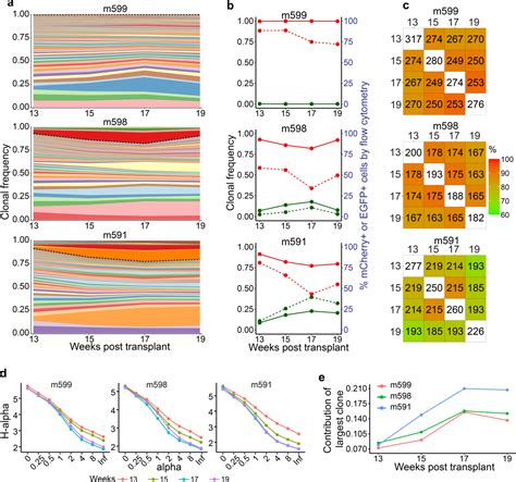 Figure 2 From Longitudinal Clonal Tracking In Humanized Mice Reveals