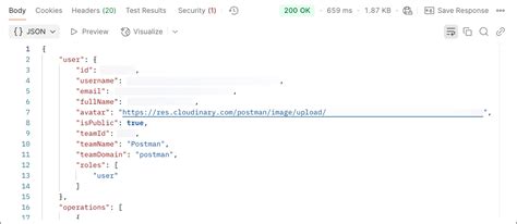 Access Postman Data Programmatically Postman Docs