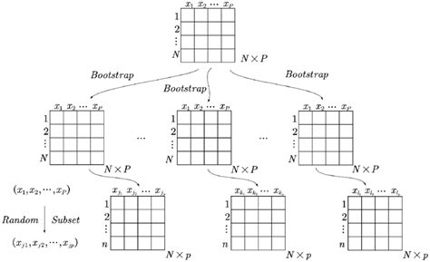 Variable Randomization And Sample Randomization Download Scientific