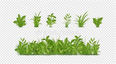 Spring Garden Grass And Flowers Border Cartoon Vector Flower